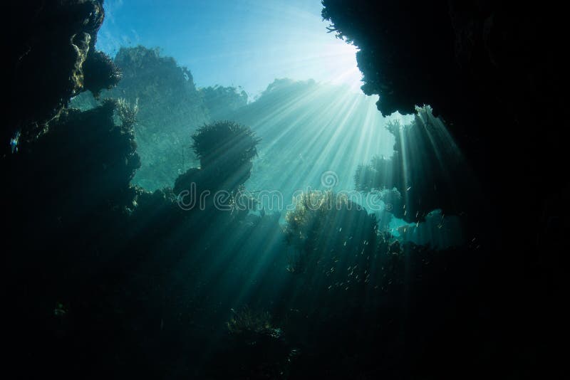 Sunlight Descending into Underwater Cavern Stock Image - Image of ... Sunlight Descending into Underwater Cavern Stock Image - Image of ...