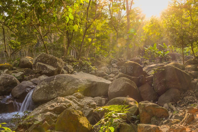 Sunlight effects on stone stock image. Image of green - 37278275