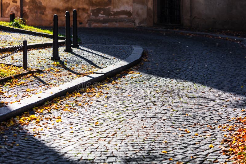 Sunlight in the Fall on Pavement Stock Photo - Image of colorful ...