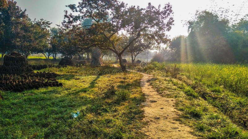 Sunlight Falling through the Night Sky Onto a Lake, Turning the Water ...