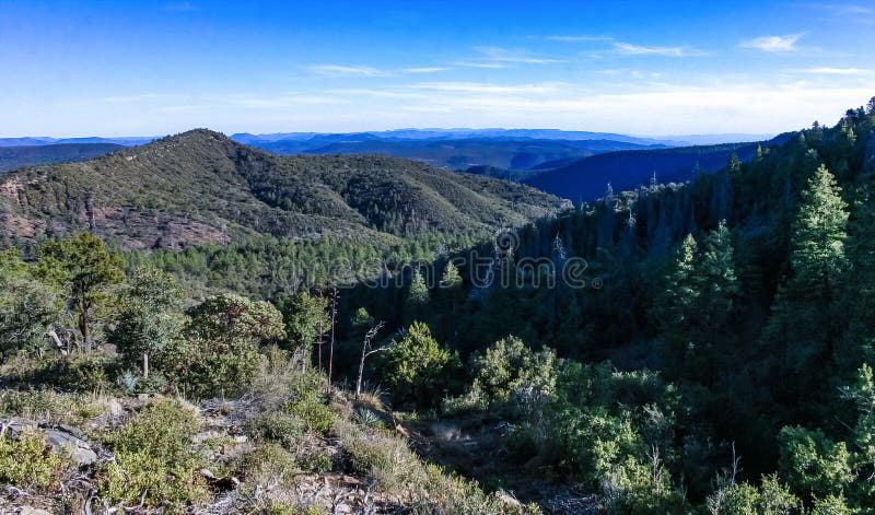 Sunlight Falling on Mountain Forest Valley with Blue Sky Stock Image ...