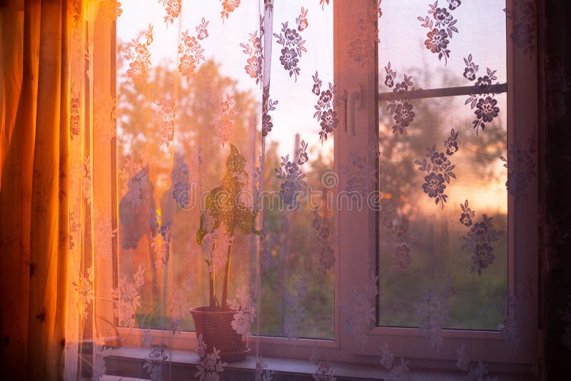 Sunlight Falling through a Window with a See-through Curtain, with a ...