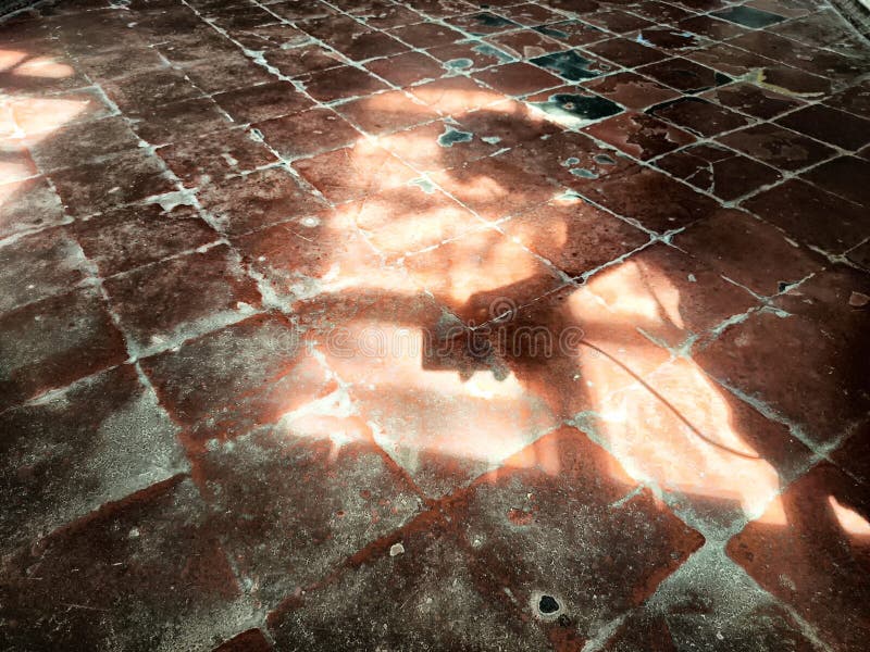 Sunlight Filters through a Window, Creating Captivating Patterns of ...