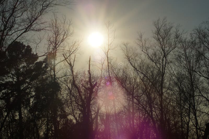 Sunlight flare stock photo. Image of light, sunlight - 87730568