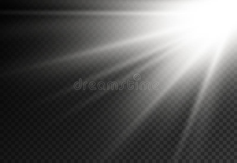 Sunlight Flash, Sun Rays, White Beam Light. Stock Vector - Illustration ...