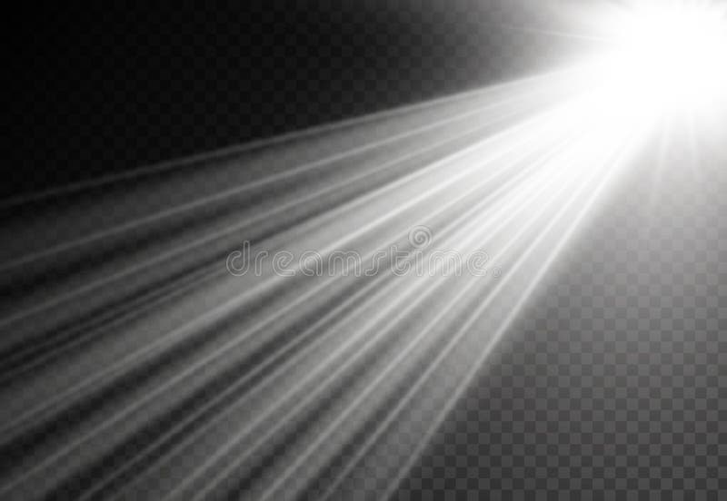 White Beam Lights Spotlights Vector. Transparent Effect. Bright ...