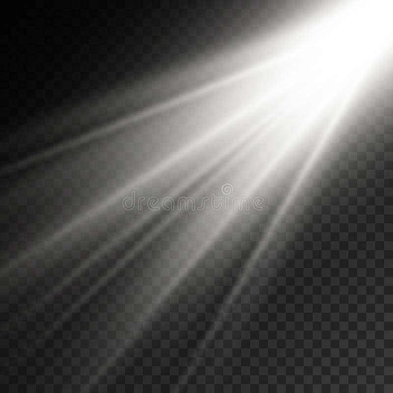 White Beam Lights, Spotlights on Dark Transparent Background Stock ...