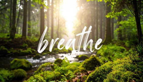Sunlight through Forest with Breathe Text Representing Relaxation ...
