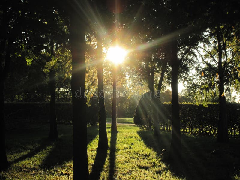 Evening Shadows stock image. Image of sunlight, evening - 129802295