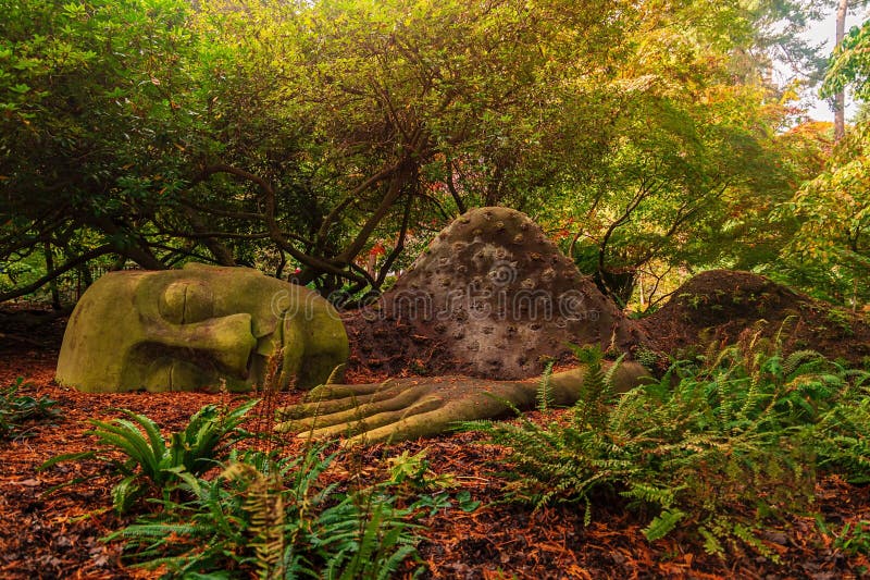 Sunlight Glowing Over the Moss Lady Stock Image - Image of landmark ...