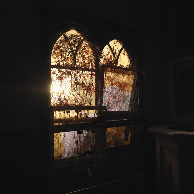 Sunlight glowing windows stock image. Image of photograph - 2046467