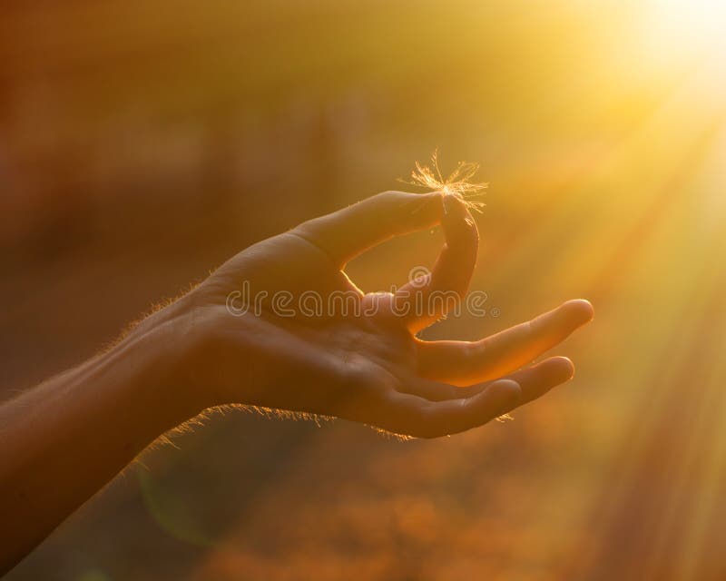 Sunlight stock image. Image of relaxation, calm, beams - 46402791