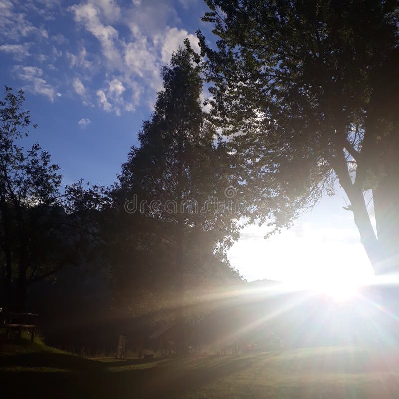 Sunlight Illuminating the Day Stock Photo - Image of mist, leaf: 233536732