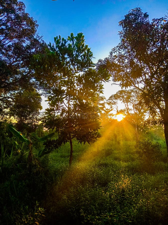 Sunlight Iluminates the Entire Surface of the Earth Stock Image - Image ...