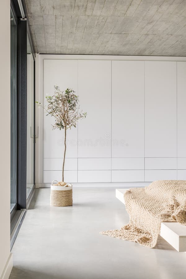 Sunlight in living room stock image. Image of sunlight - 95151929