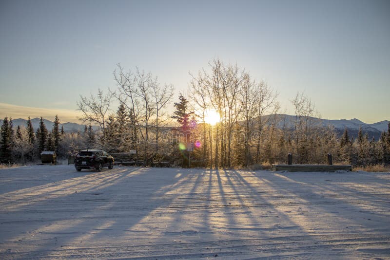 Sunlight in the Middle of the Trees in a Cold Morning Stock Photo ...