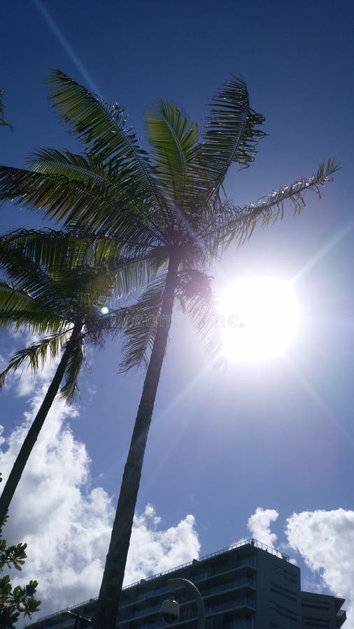 20,627 Strong Sunlight Photos - Free & Royalty-Free Stock Photos from ...