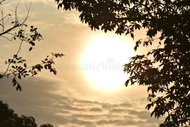 Sunlight in the Morning Sky and Black Tree Shadows Stock Photo - Image ...