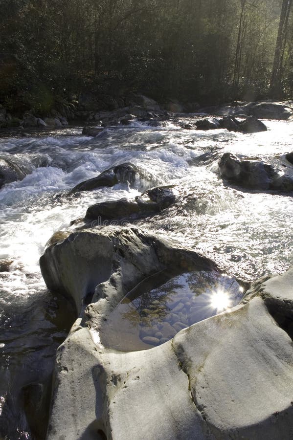 Sunlight on Mountain Stream Stock Photo - Image of scenic, pattern: 217050