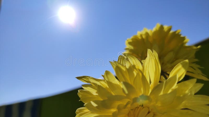 Sunlight is a Natural Resources Stock Photo - Image of yellow, natural ...