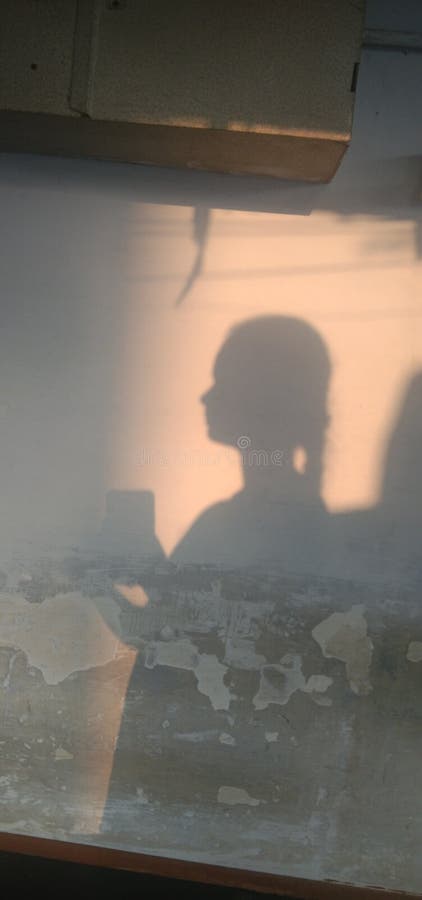 Sunlight,new ideas, shadow stock image. Image of lighting - 218774647