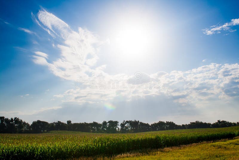 Sunshine over cornfield stock image. Image of color, growth - 34467931