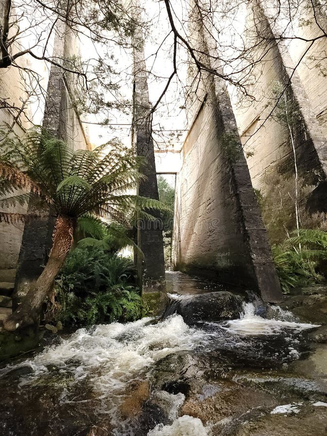 Sunlight Over Mount Paris Dam Tasmania Stock Image - Image of sunlight ...