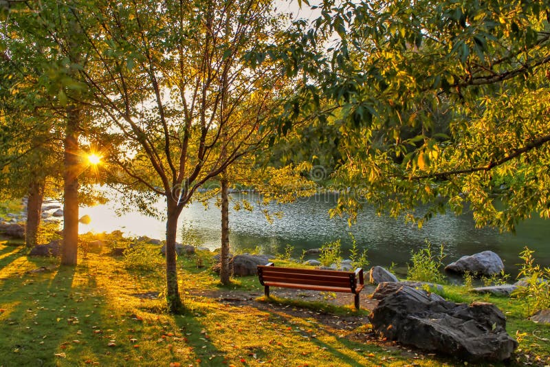 Sunlight Over a Park Bench stock photo. Image of park - 159481542