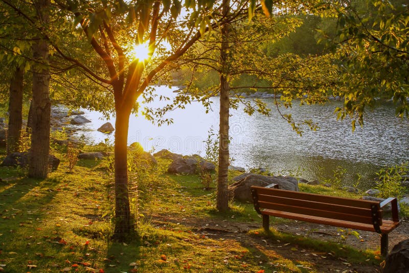 Park Bench Overlooking Water Stock Photos - Download 391 Royalty Free ...