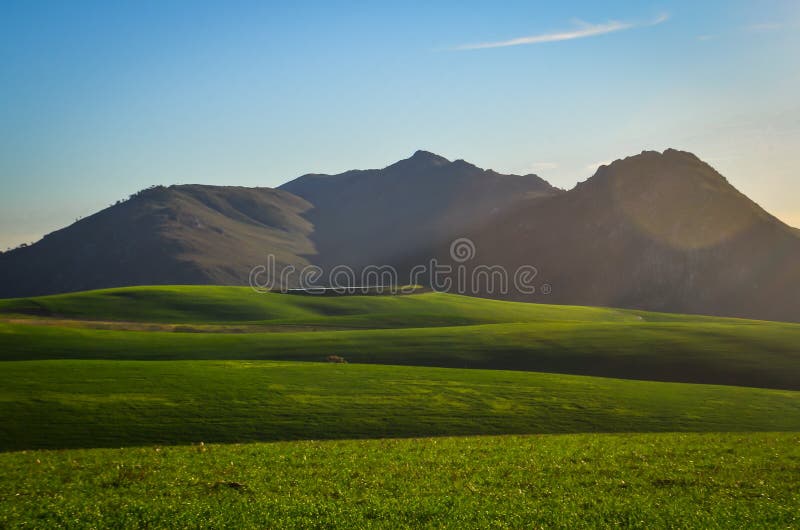 Sunlight on the pasture stock image. Image of prairie - 225672807