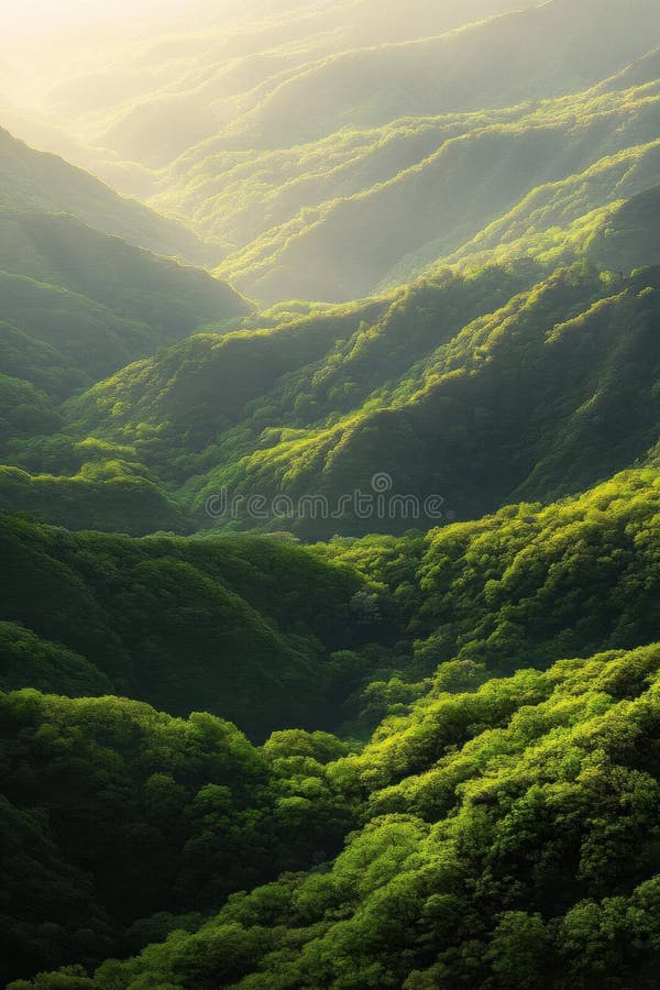 Sunlight Peaks through Green Mountain Ridges in a Serene Valley Stock ...