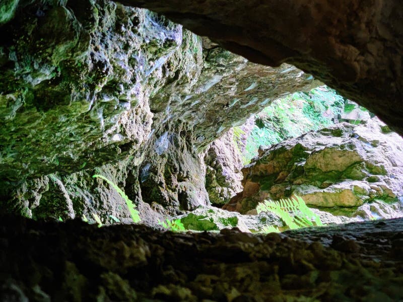 Sunlight Peeking through a Small Cave Stock Photo - Image of forest ...