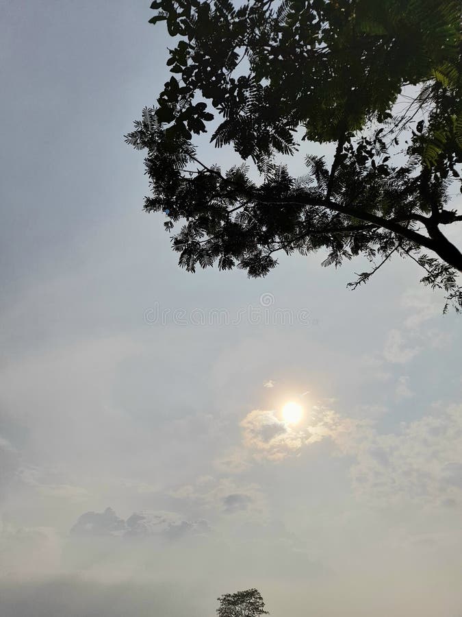 Sunlight before 8 am and after 5 Pm is the Healthiest Sunlight, because ...