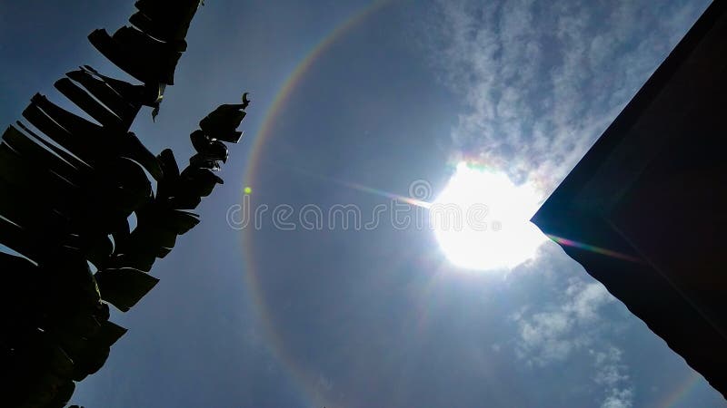 Sunlight Portrait with Leaf Silhouette Stock Photo - Image of moon ...