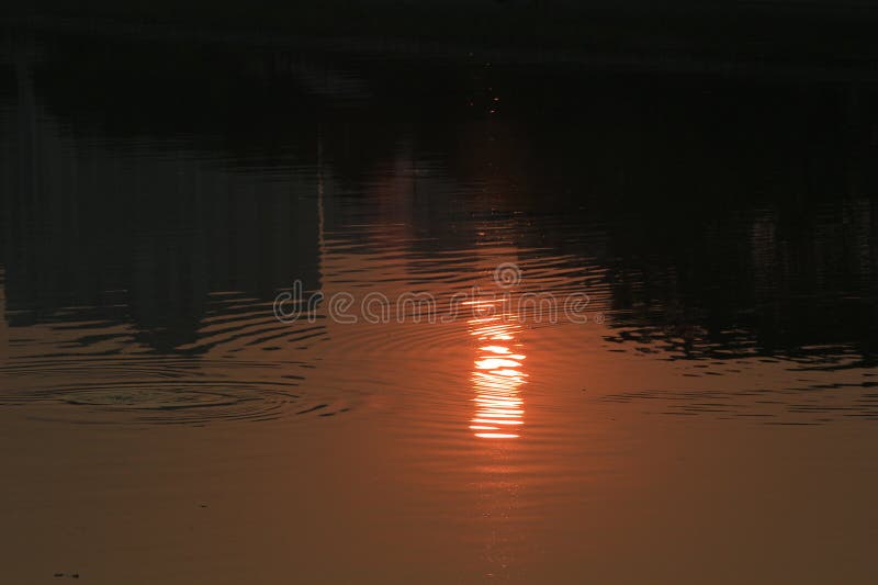 The Sunlight Reflecting in the Water with Copy Space Stock Photo ...