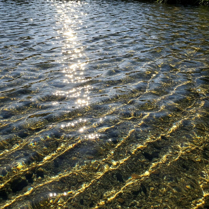 Sunlight Reflects on the Rippling Surface of Clear Water, Creating a ...