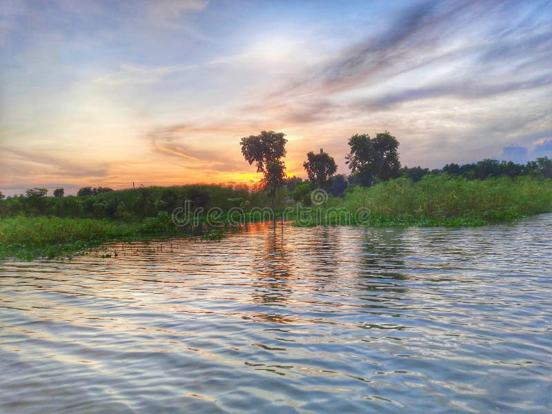 Sunlight Reflects on River Water. Stock Photo - Image of tree ...