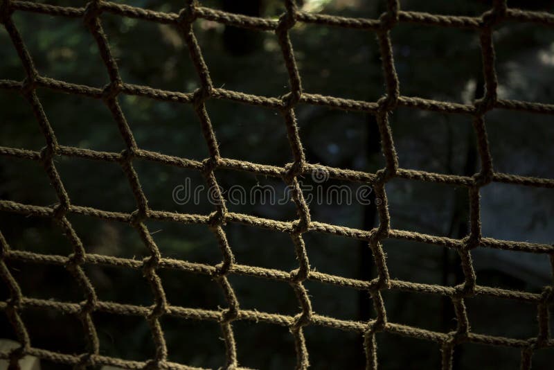 Sunlight on Rope Net Pattern Stock Photo - Image of nature, crocodile ...