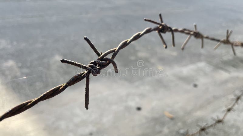 Sunlight with Rusty Wire, Metallic Wire Stock Image - Image of ...