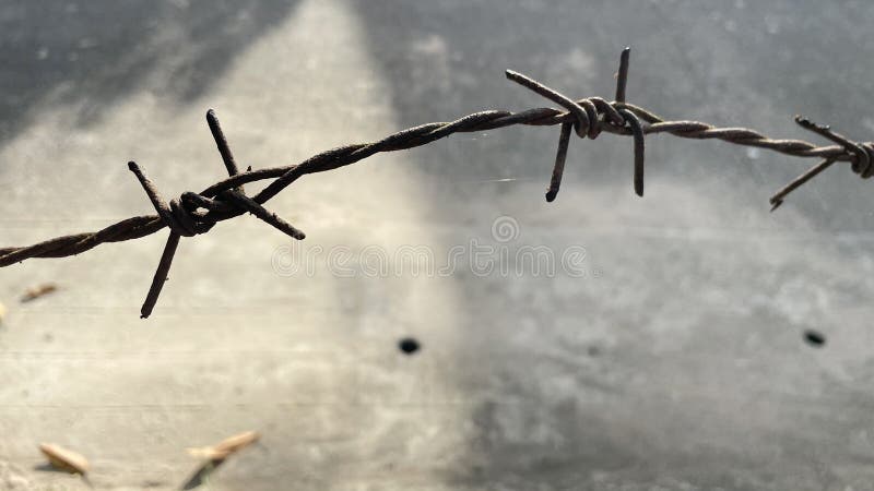 Sunlight with Rusty Wire, Metallic Wire, Stock Photo - Image of rusty ...