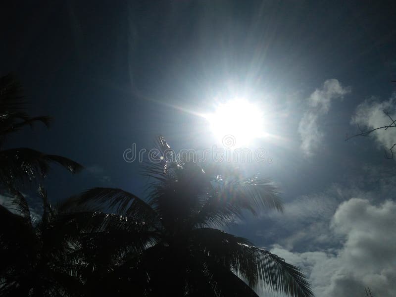 Sunlight scene stock image. Image of scene, tree, cloud - 162000815