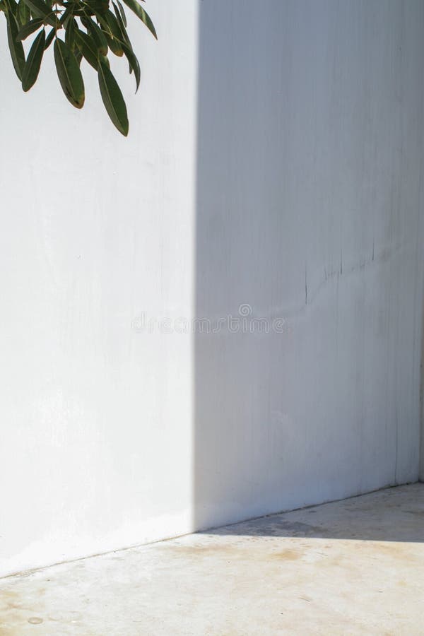 Sunlight and Shadow Make Corner Line on Minimal White Wall with Green ...