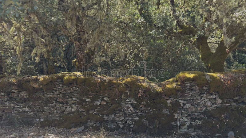 Sunlight and Shadows on an Ancient Stone Wall in Rural Setting Stock ...
