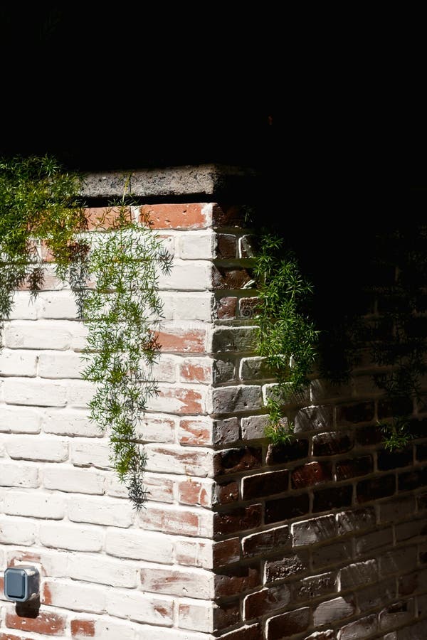 Sunlight and Shadows on Brick Stock Photo - Image of partially, life ...