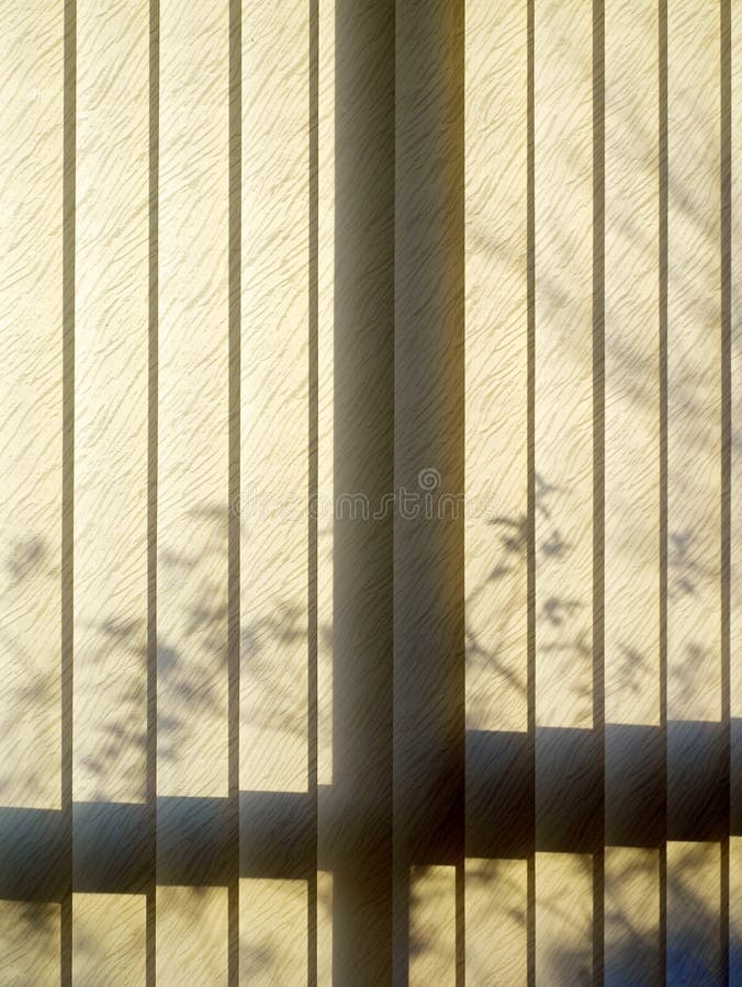 Sunlight and shadows stock photo. Image of foliage, fronds - 35922222