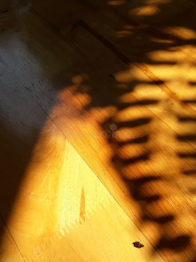 Sunlight and Shadows on Wood Planks Abstract Background Stock Image ...