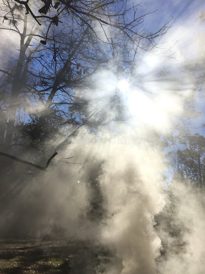 Helen4152 - Photographer profile