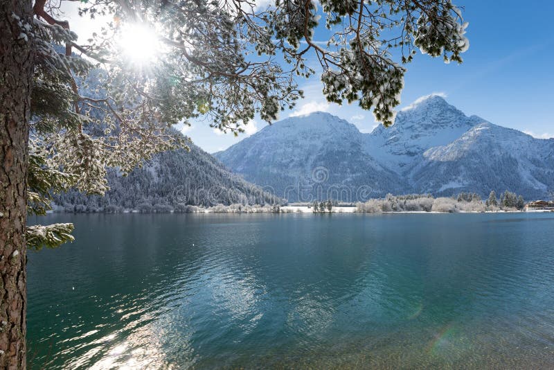 Sunlight Shining through Tree at Lake Stock Photo - Image of blue ...