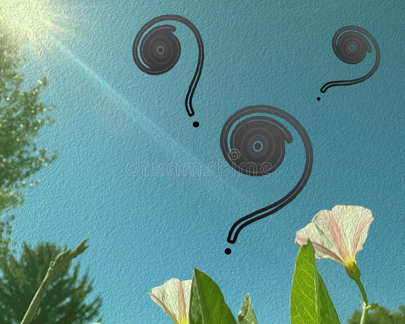 Sunlight & Sky Above Show Question Marks with Morning Glories Pointing ...