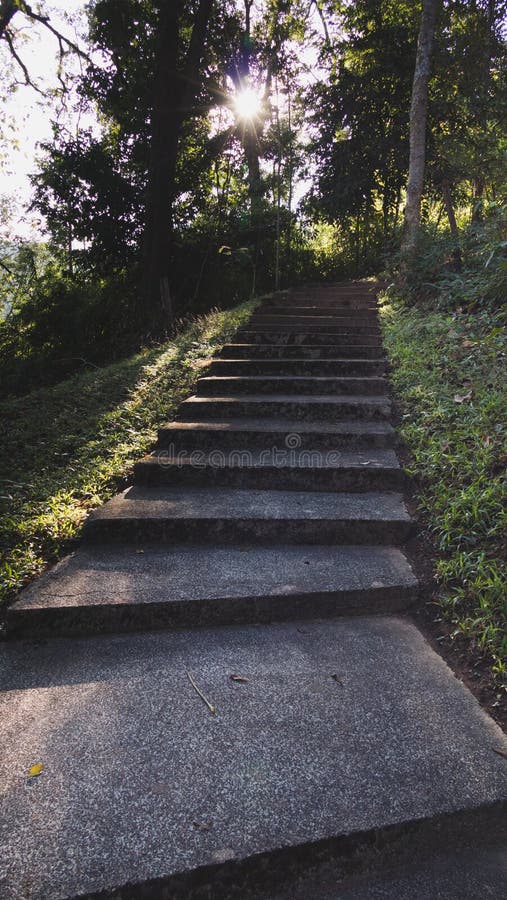 Sunlight on Stair Step in Park Stock Photo - Image of bushes, nature ...